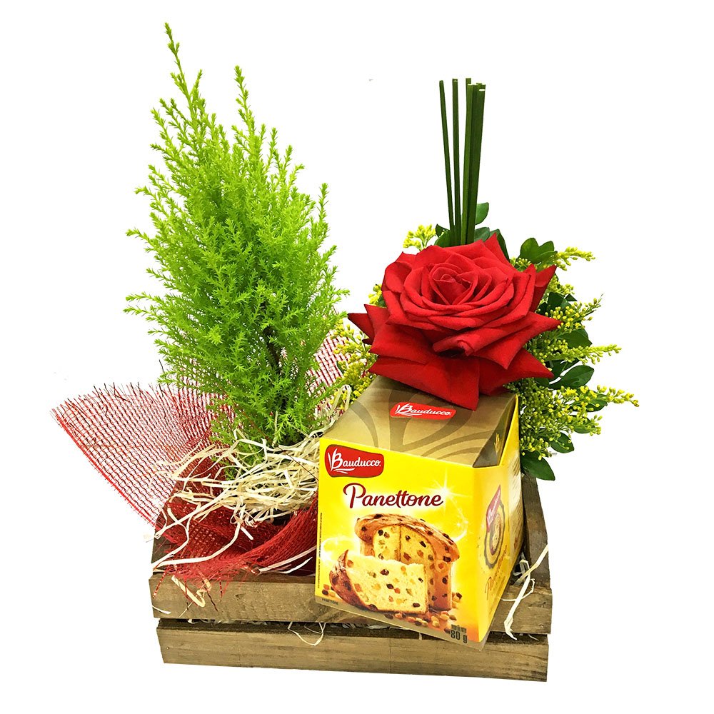Cesta De Natal Com Uma Rosa Vermelha E Panettone Taquari Flores